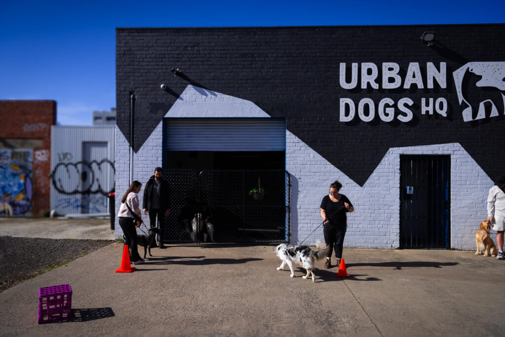 Our location - Urban Dogs HQ