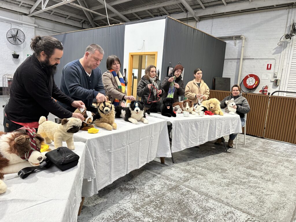 Workshops & Seminars - Urban Dogs HQ