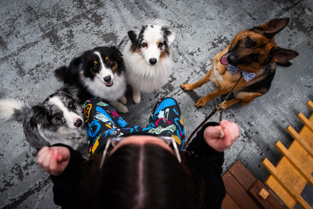 Other classes - Urban Dogs HQ